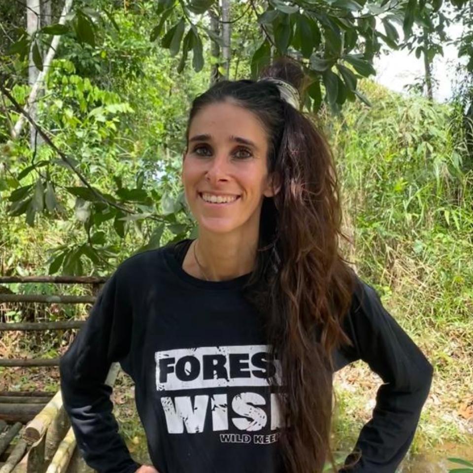 Forestwise - About us